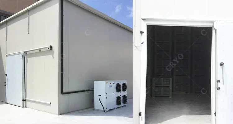 What should I pay attention to for cold room maintenance? | Cryo ...